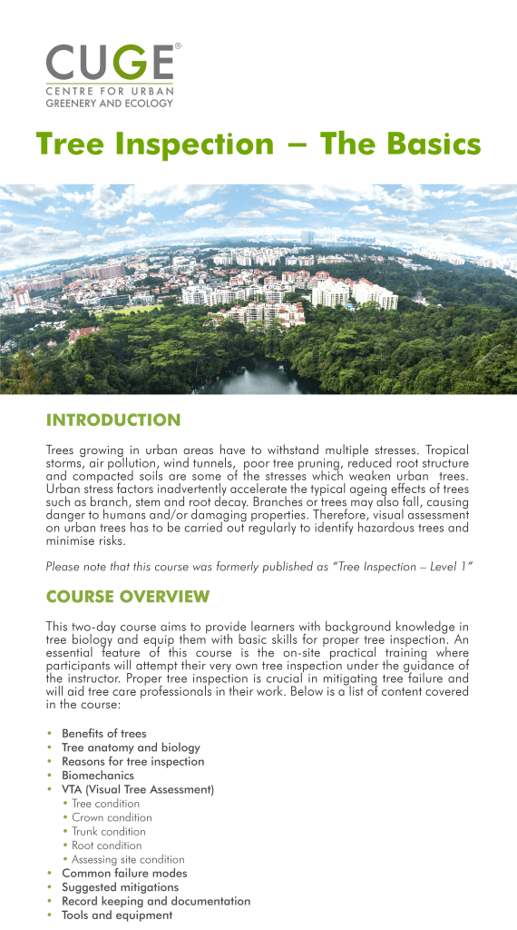 Tree Inspection – The Basics – Club Managers' Association (Singapore)